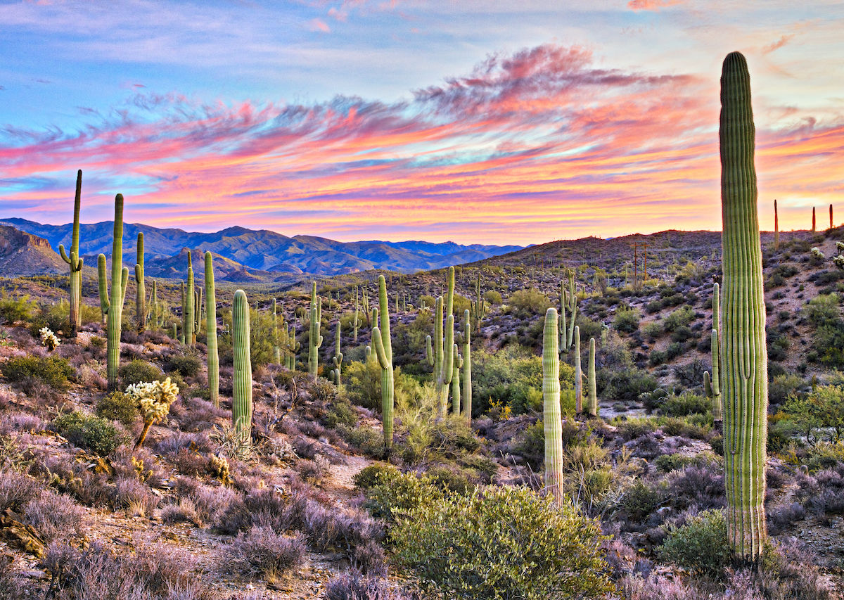 Arizona travel guide: Everything you need to know about visiting Arizona Arizona travel guide: Everything you need to know about visiting Arizona