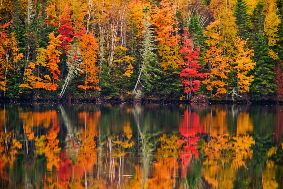 Forget New England: Fall foliage in New Brunswick, Canada - Matador Network