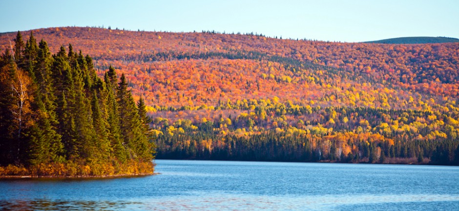 Forget New England: Fall foliage in New Brunswick, Canada - Matador Network