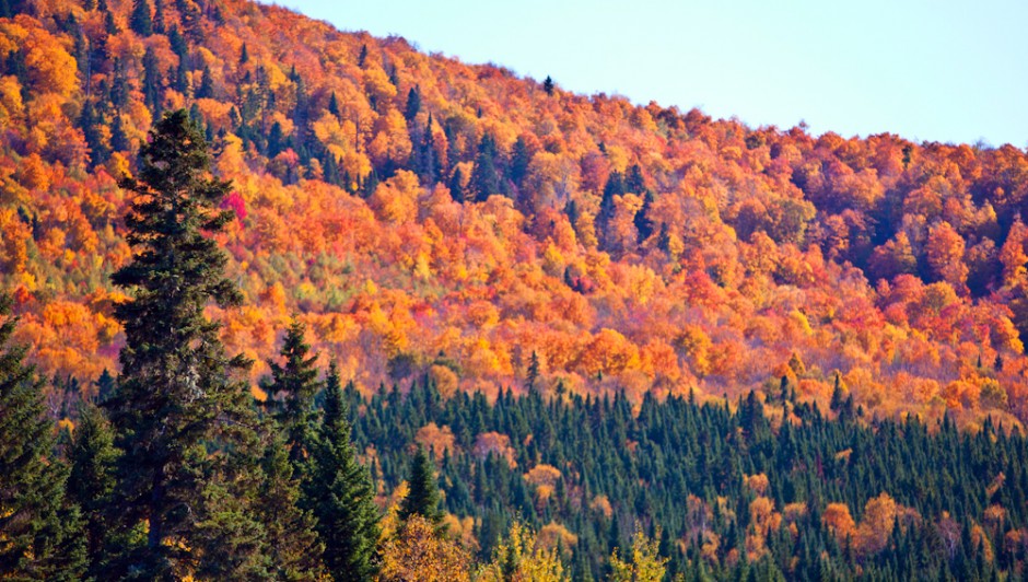 Forget New England: Fall foliage in New Brunswick, Canada - Matador Network