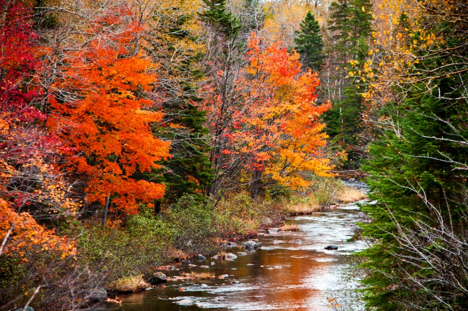 Forget New England: Fall foliage in New Brunswick, Canada - Matador Network