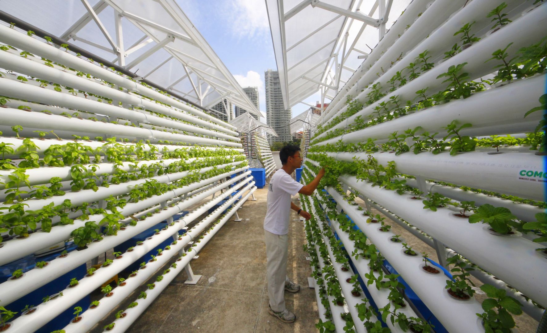 26 futuristic urban farms and green spaces [pics] - Matador Network