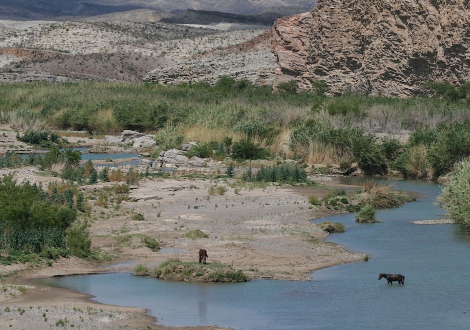 Stark and beautiful images of the Chihuahuan Desert