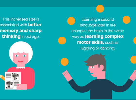 Infographic: How learning languages affects your brain - Matador Network