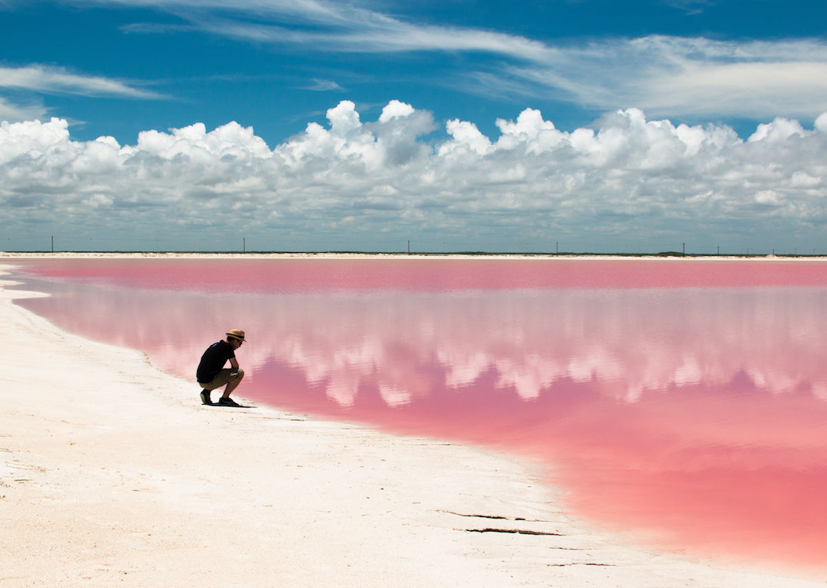 Everything you need to know to plan a trip to Las Coloradas' pink lakes