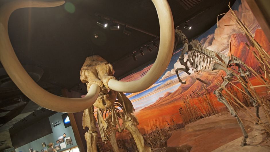 Weird, wild, and world-class: Nevada's 8 best museums