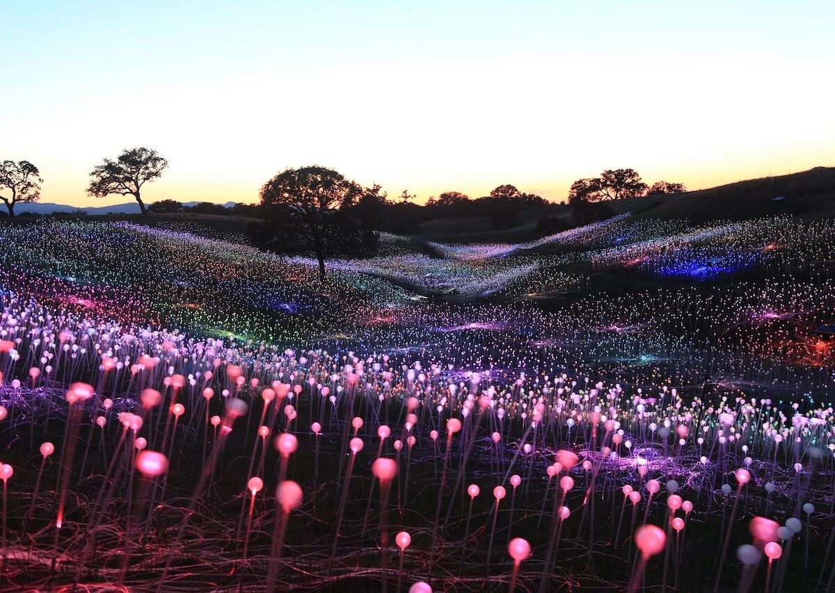 What to know about Bruce Munro’s ‘Field of Light’ installation in ...