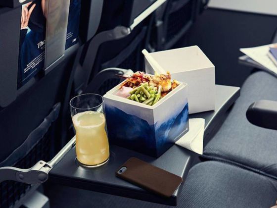 Scandinavian Airlines serves farm-to-table, local, vegan meals