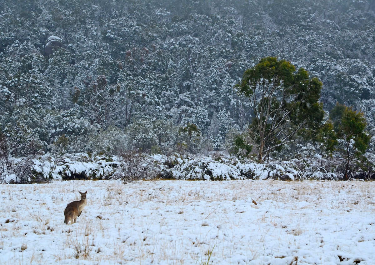 Snowfall in Queensland, Australia