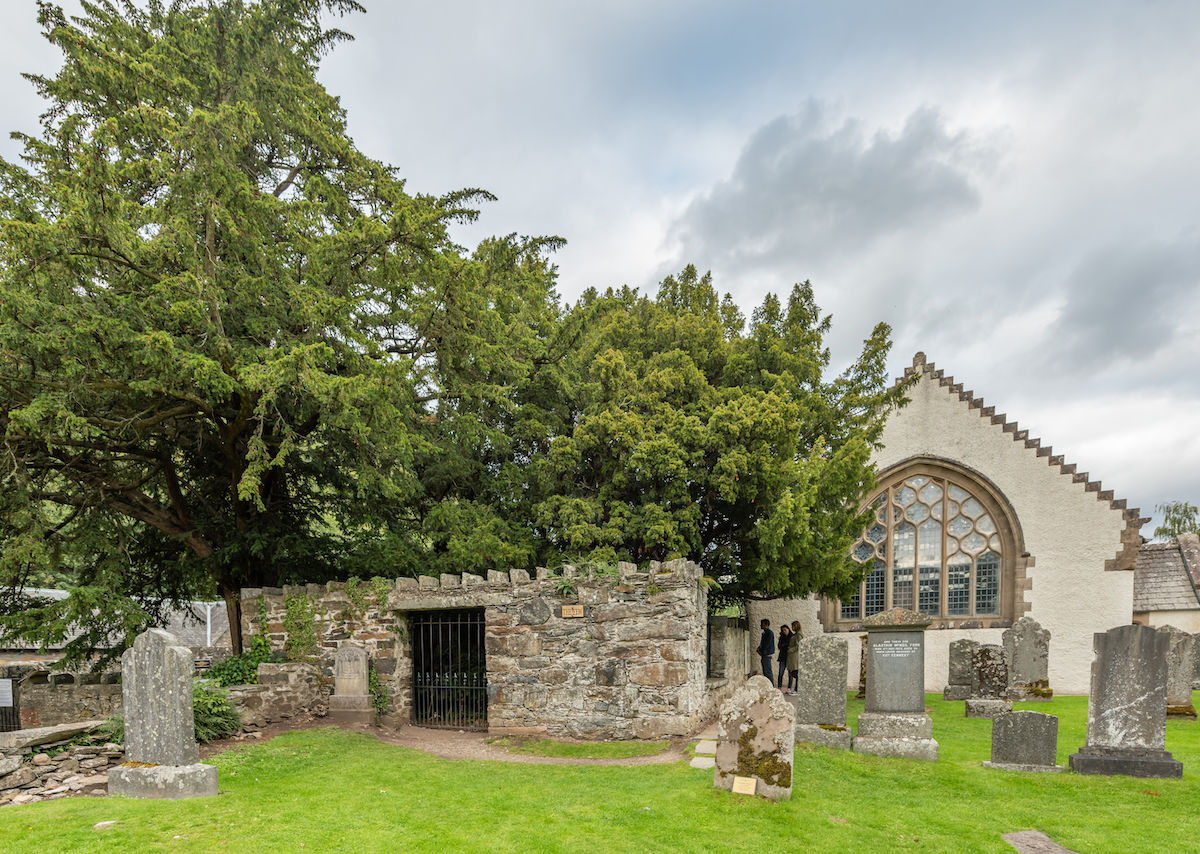 Fortingall Yew threatened by tourists