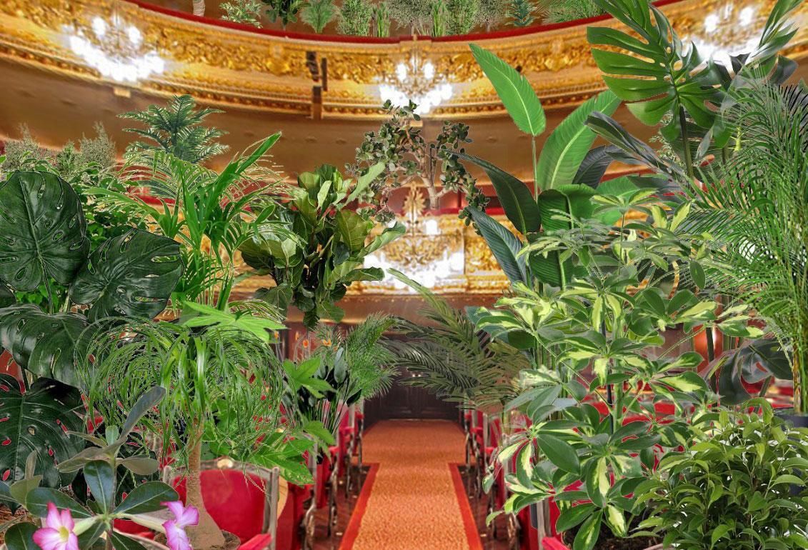Barcelona opera house reopens with a concert for a plant audience