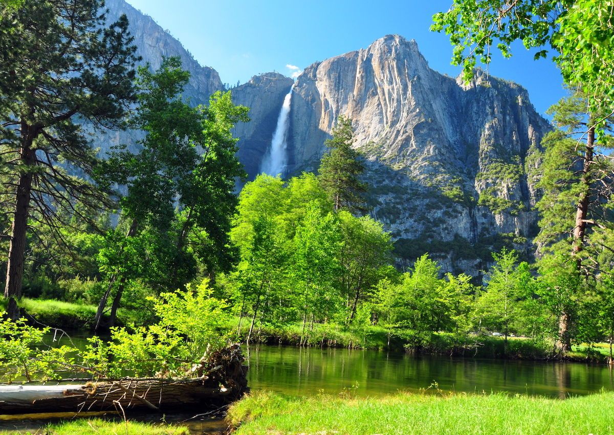 Yosemite National Park may reopen