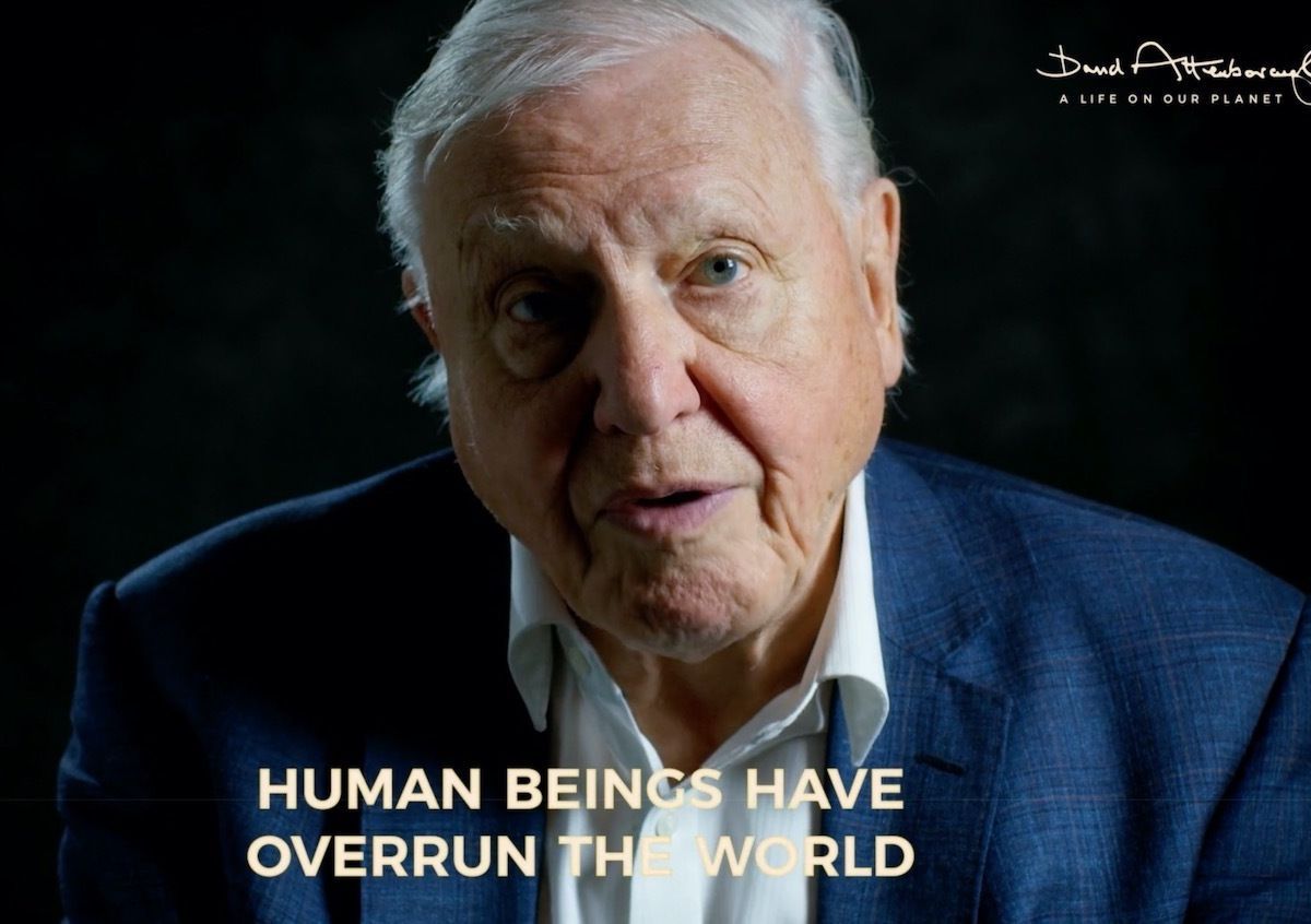 New David Attenborough documentary ‘A Life on Our Planet’