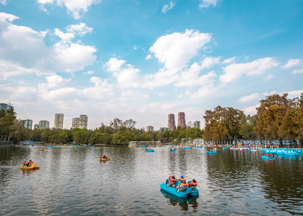 El Bosque de Chapultepec estrenará nueva sección - Matador Español