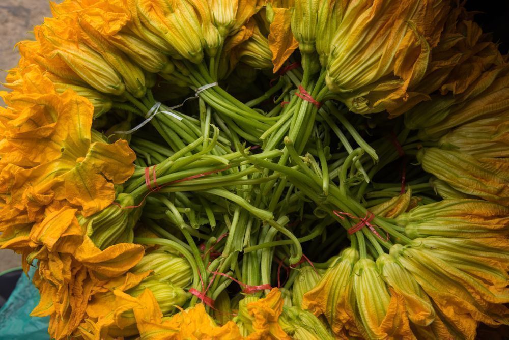 Flor de calabaza: la flor comestible favorita de los mexicanos