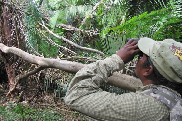 Green Living Project: Conservation in Belize - Matador Network