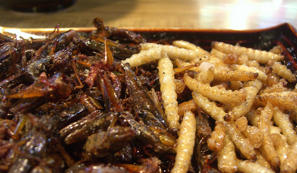 Dog meat and rooster balls: The 10 most exotic Asian foods - Matador ...