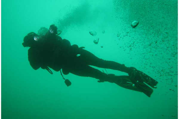 The polar plunge: 5 cold-water dive destinations - Matador Network