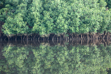 Destination spotlight: Ghana's Western coast - Matador Network