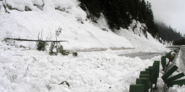 How to Survive an Avalanche - Matador Network