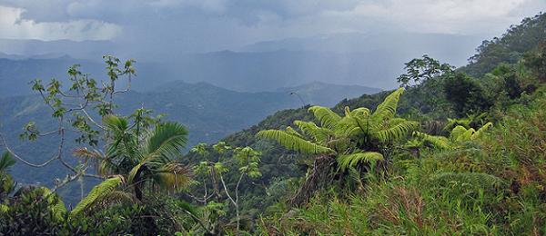 Green guide to Puerto Rico - Matador Network